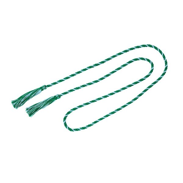 Green/Light Blue Honor Cord School of Nursing - Study Abroad | The ...
